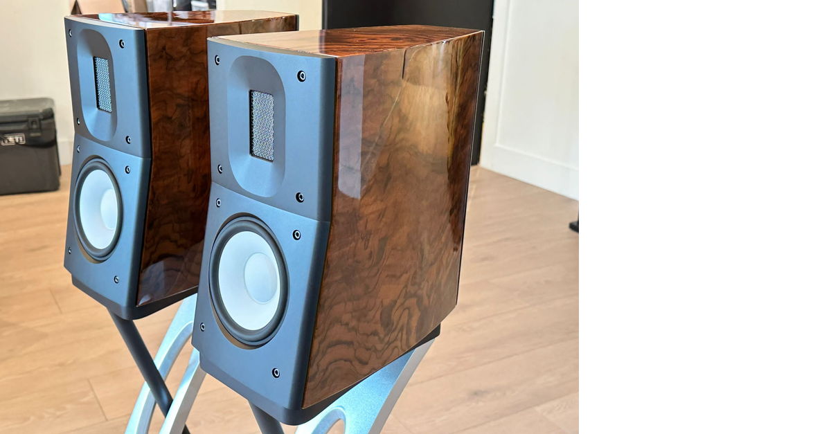 Pair Raidho C 1.1 In Excellent condition W... For Sale | Audiogon