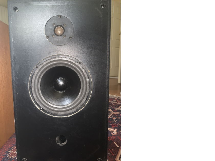 Snell Acoustics Model J | Full-Range | Audiogon