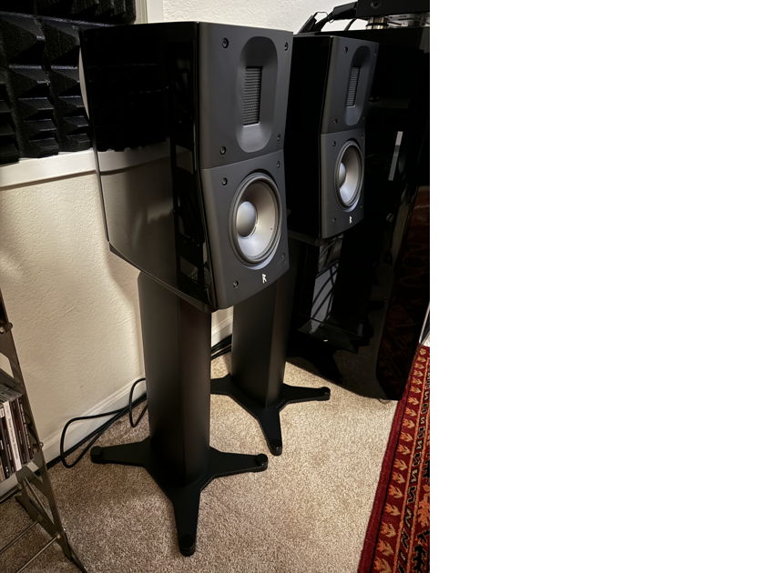Raidho Acoustics TD1.2's + Stands For Sale | Audiogon