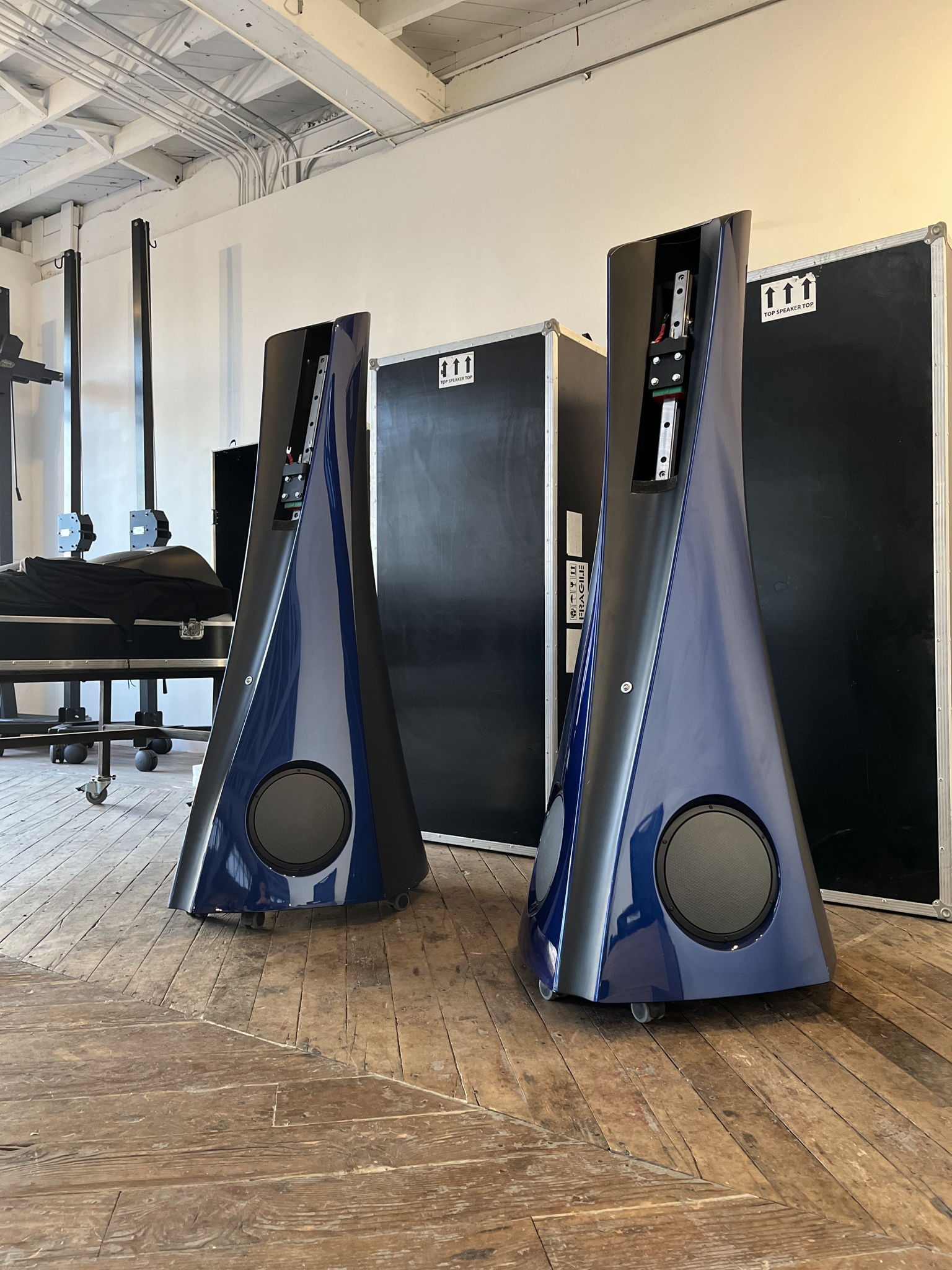 Estelon Extreme MK1 For Sale | Audiogon