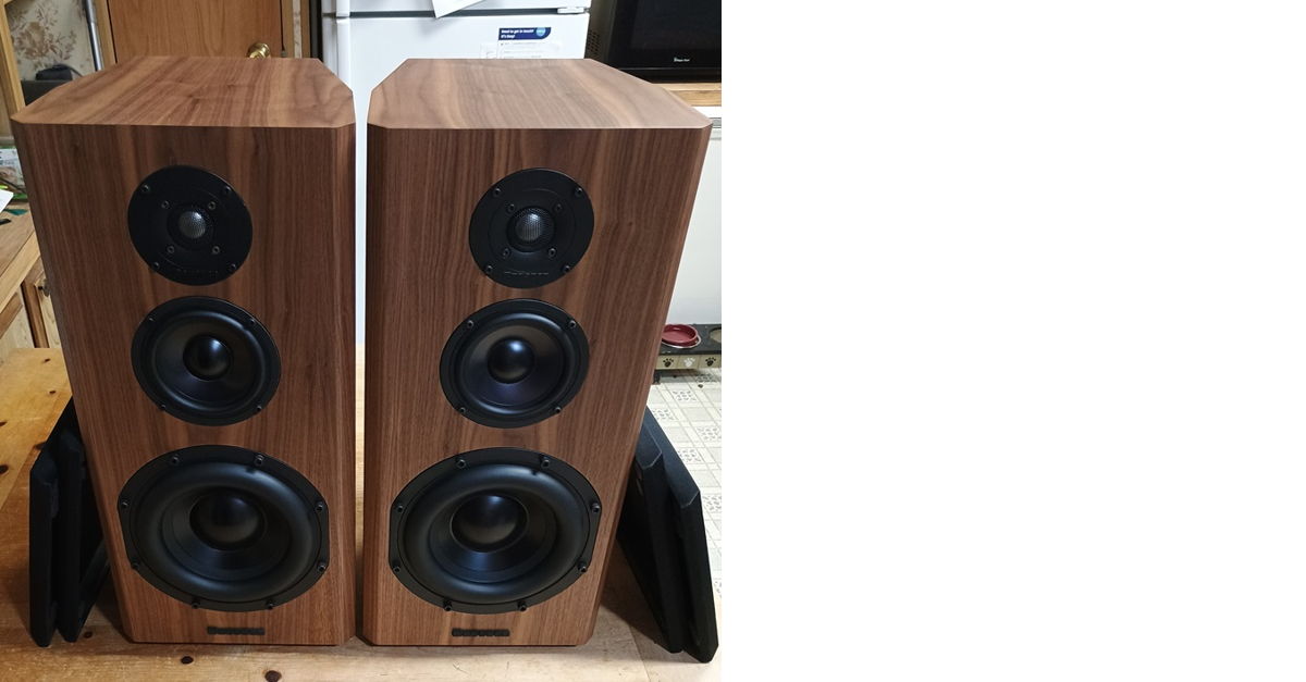 Bryston Mini T For Sale | Audiogon