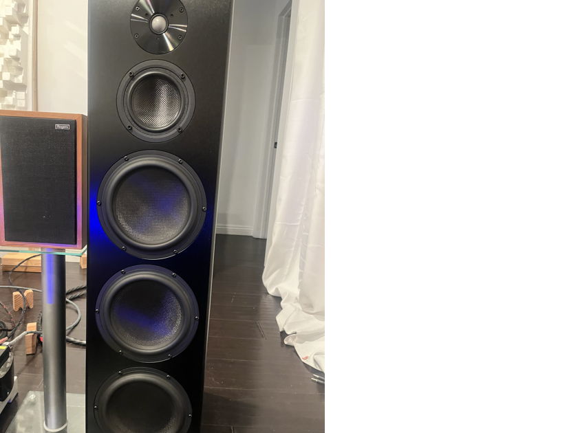 Magico A5 Black excellent Condition For Sale | Audiogon