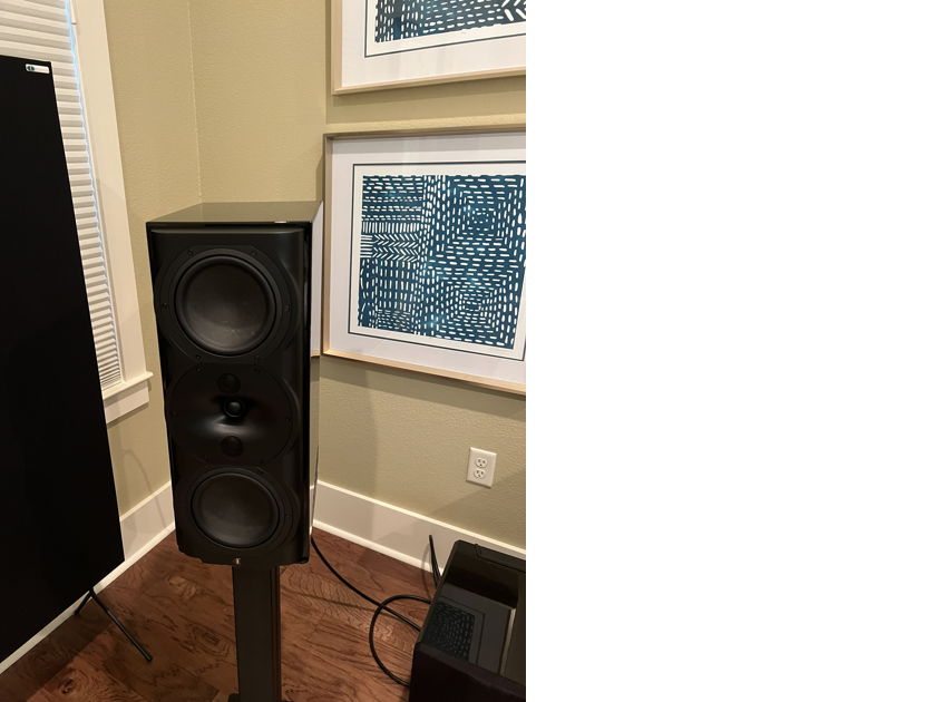 Perlisten Audio R5M Monitors For Sale | Audiogon