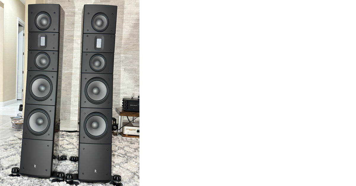 Raidho Acoustics TD 3.8 Speakers For Sale | Audiogon