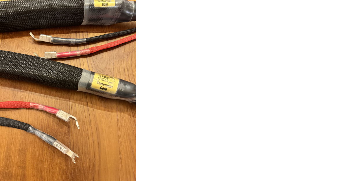 Elrod Power Systems Statement Gold Speaker... For Sale | Audiogon