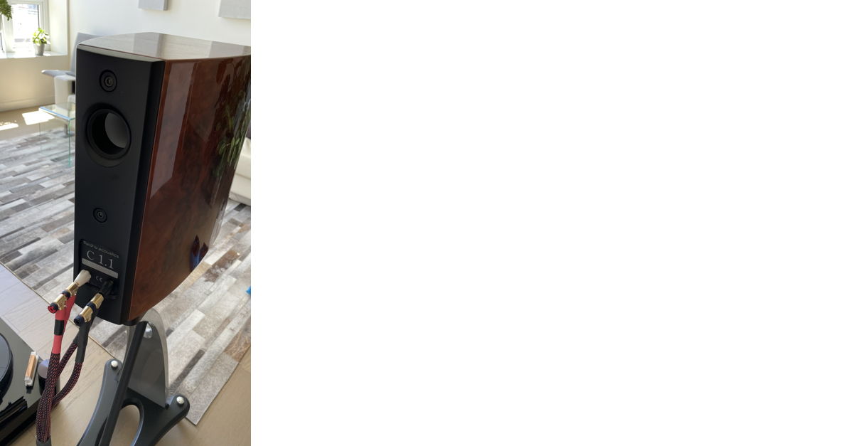 Raidho C1.1 For Sale | Audiogon