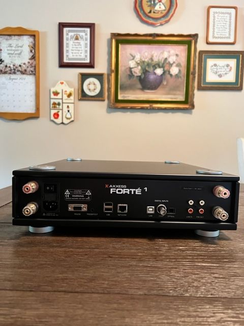 Audio Group Denmark Axxess Forte 1 For Sale | Audiogon
