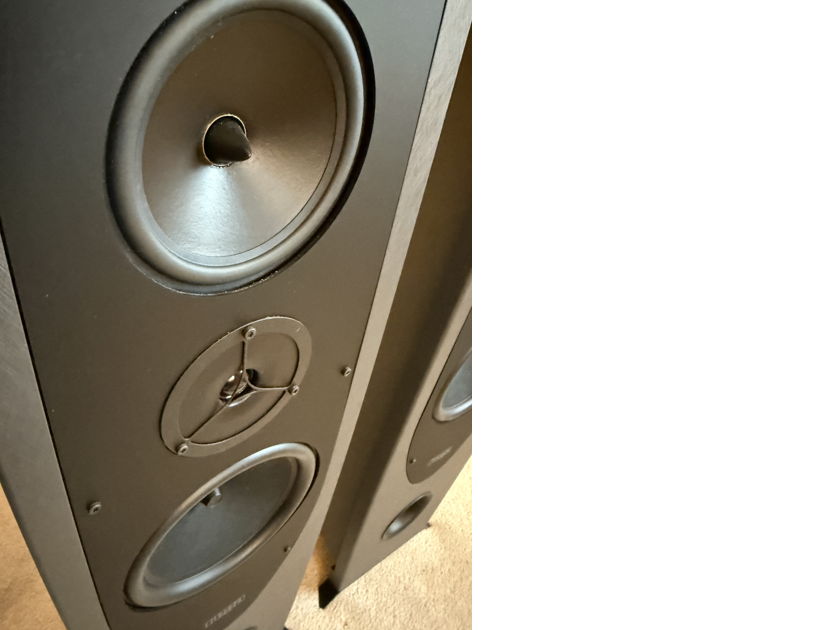 Rega AYA Floorstanding 2.5 Way Speakers - ... For Sale | Audiogon