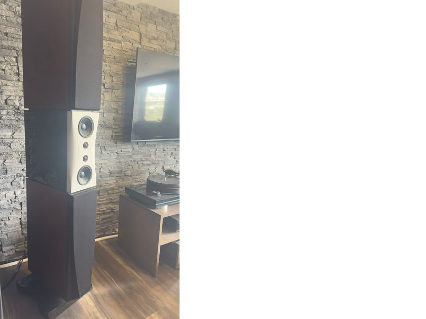 Dynaudio Evidence Temptation For Sale | Audiogon