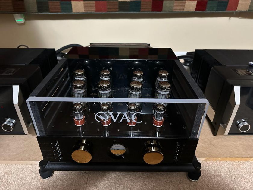 VAC 300.1 Tube Amplifier For Sale | Audiogon