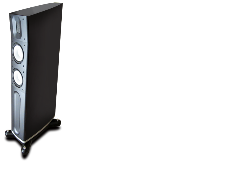 Raidho C2.1 For Sale | Audiogon