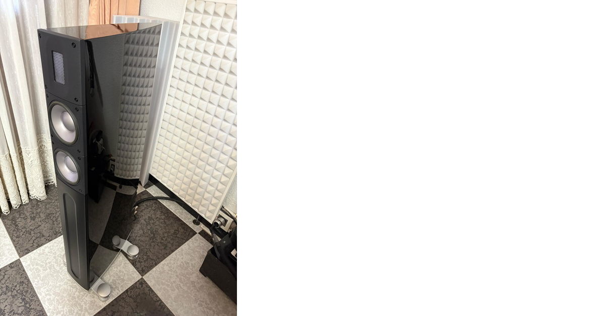 Raidho X2T For Sale | Audiogon