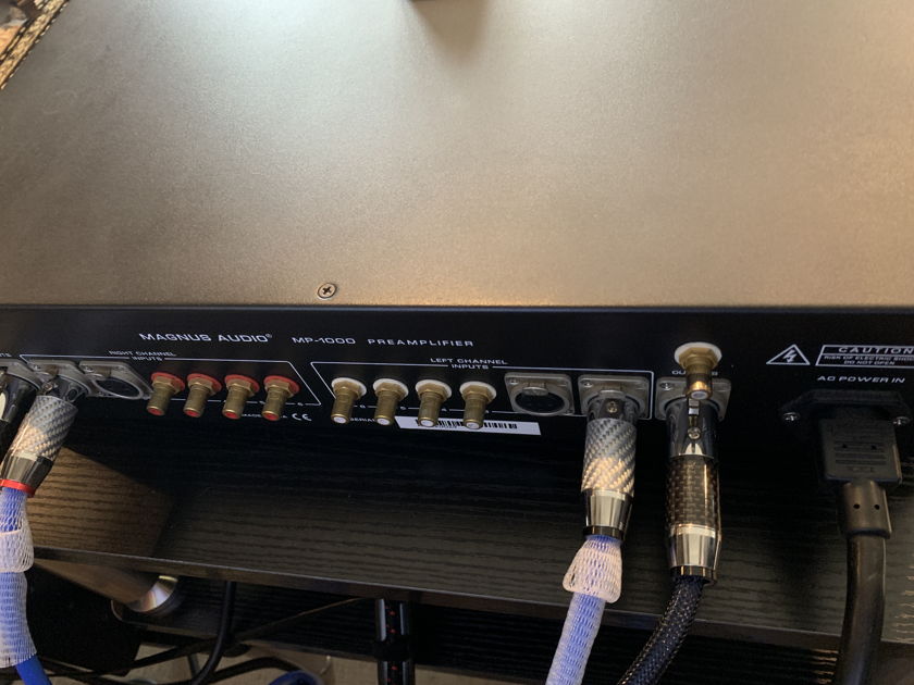 Magnus Audio MP-1000 For Sale | Audiogon