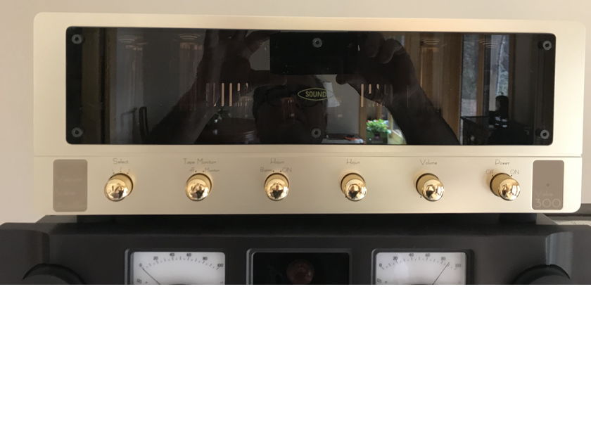 Tokyo Sound Co. 300 For Sale | Audiogon