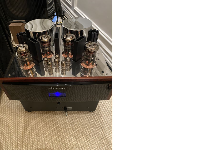Einstein The Silver Bullet monoblock ampli... For Sale | Audiogon