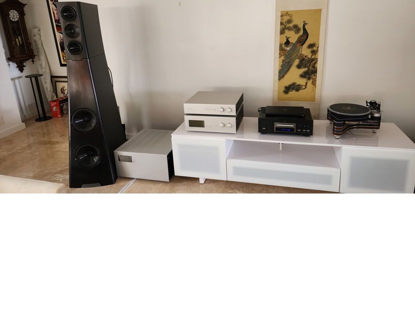 Soulution 700 Mono Amplifiers (pair) For Sale | Audiogon