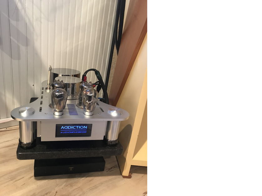 Audio Mirror Addiction Power amp monoblocks For Sale | Audiogon