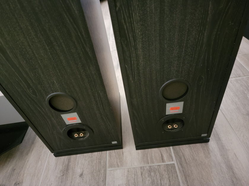 Dynaudio Audience 80 - UPDATED PRICE For Sale | Audiogon