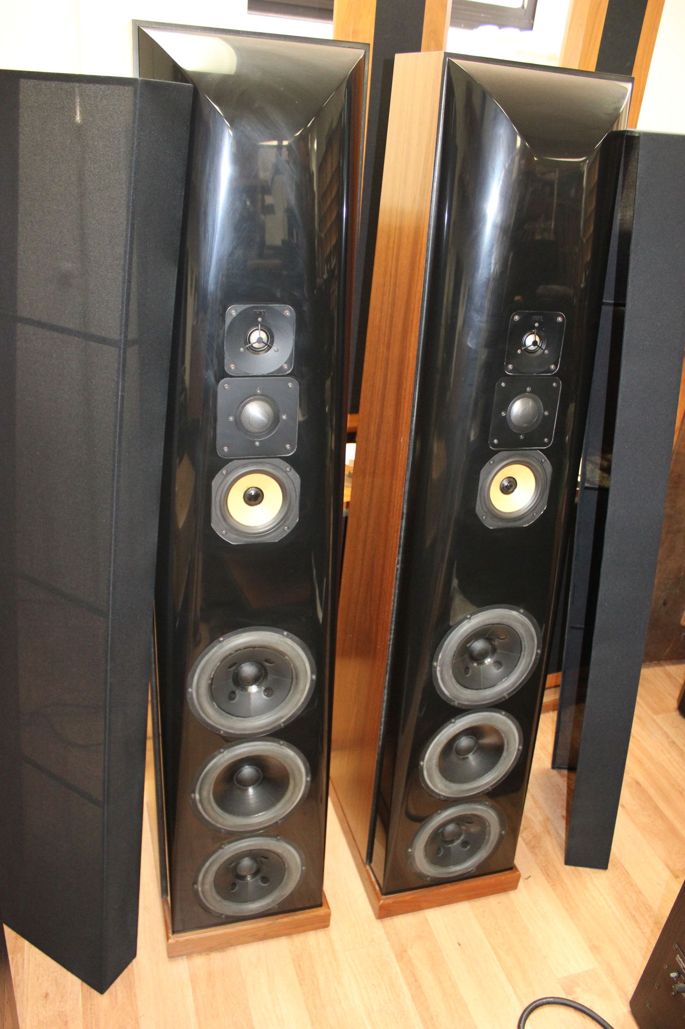 Legendary Thiel Audio CS5 Loudspeakers in ... For Sale | Audiogon
