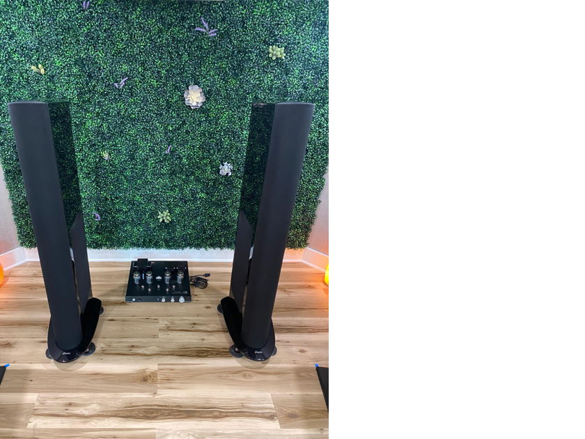 GoldenEar Triton One.R w/ Isoacoustics GAI... For Sale | Audiogon