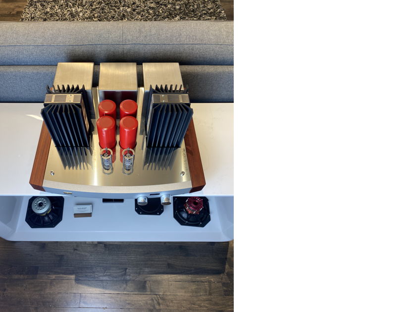 Pathos - Twin Towers (TT) - Tube Hybrid In... For Sale | Audiogon