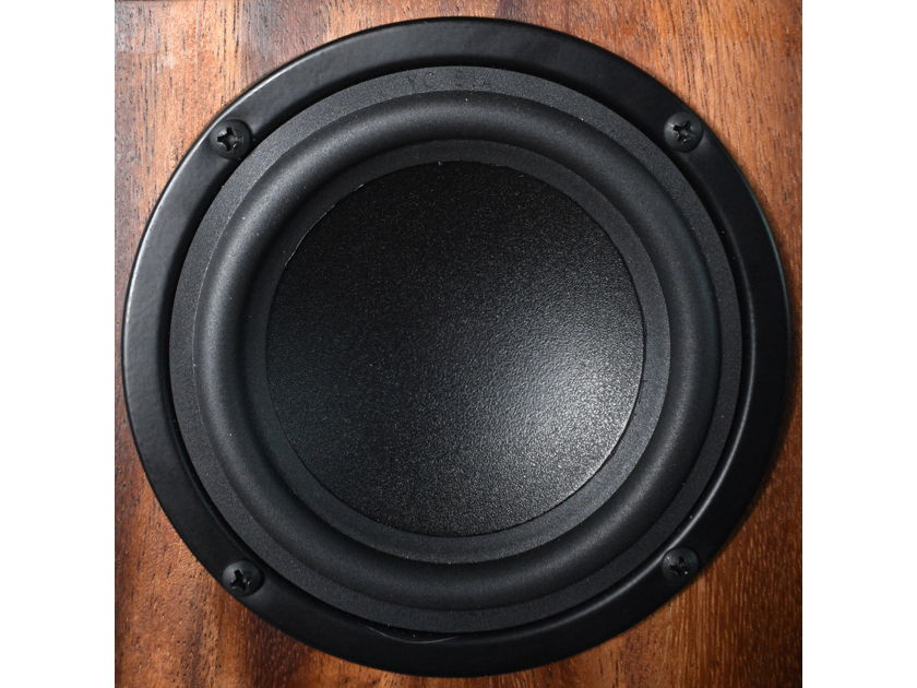 Shinjitsu Audio SUPER HIRO Speakers (PAIR) For Sale | Audiogon