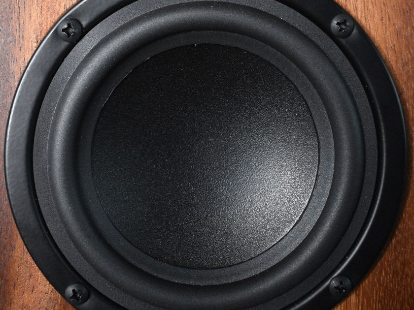 Shinjitsu Audio LITTLE HIRO Speakers (PAIR) | Full-Range | Audiogon
