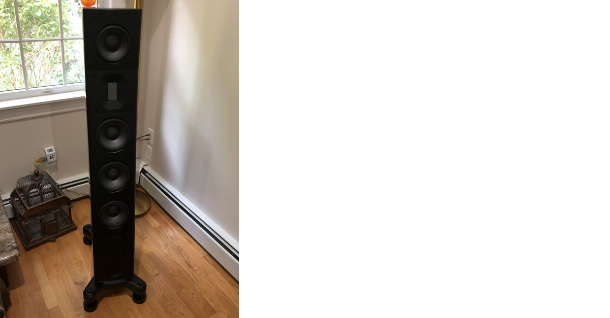 Raidho D3.1 For Sale | Audiogon