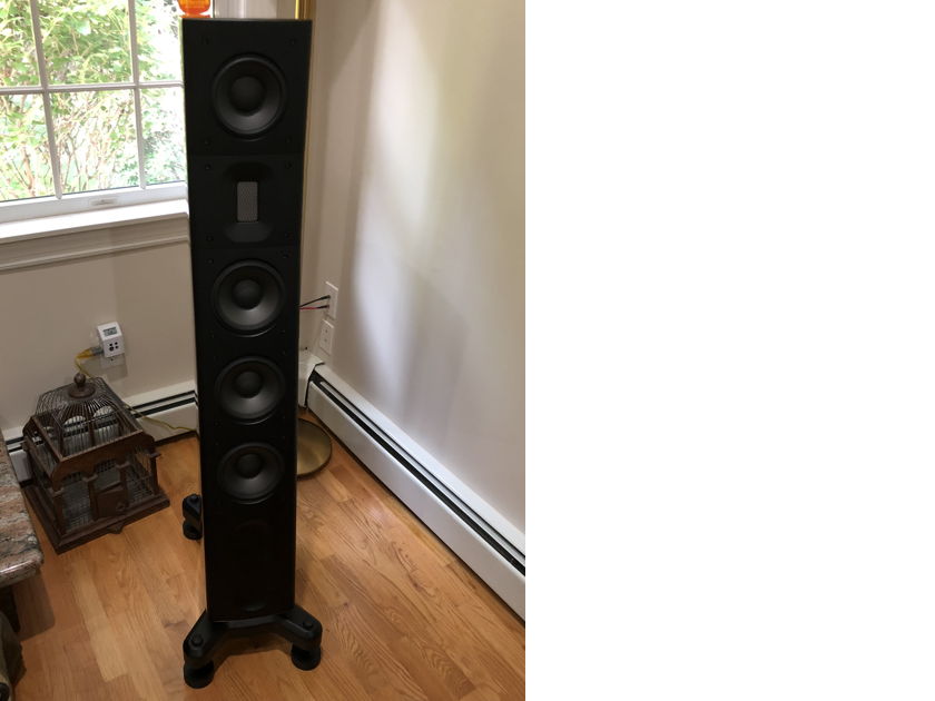 Raidho D3.1 For Sale | Audiogon