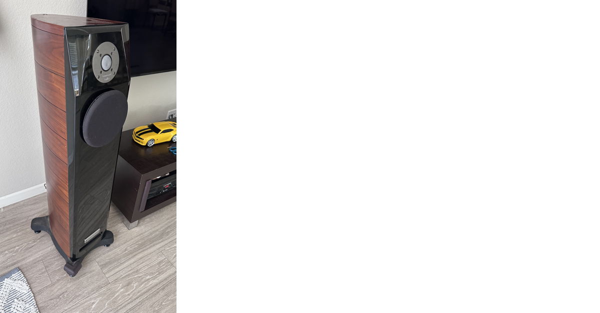 Usher Audio Dancer Mini One DMD For Sale | Audiogon