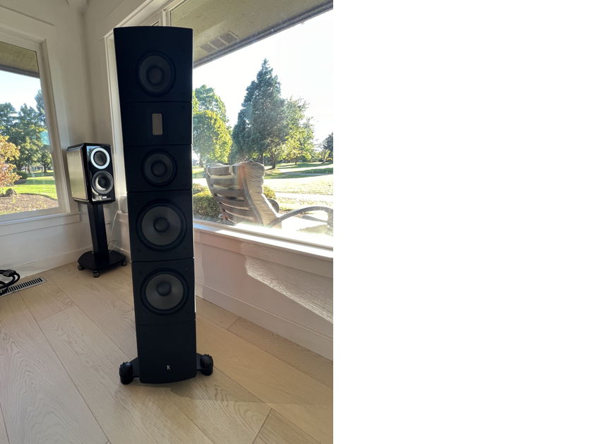 Raidho Acoustics TD 3.8's For Sale | Audiogon