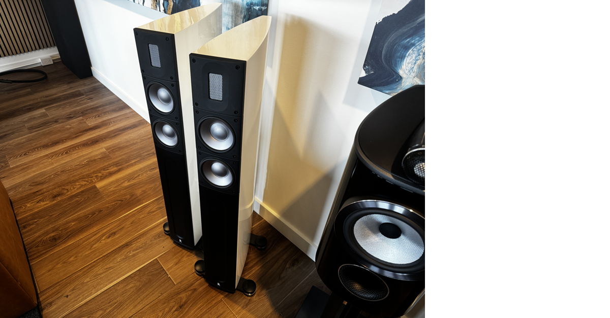 Raidho Acoustics X2t For Sale | Audiogon