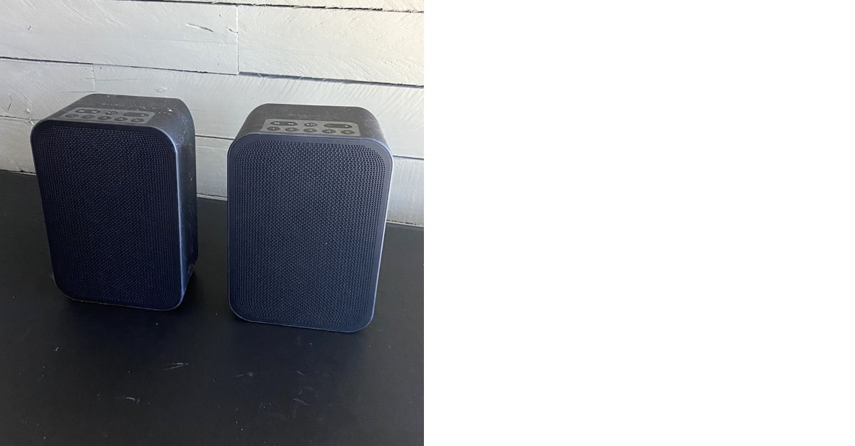 Bluesound Pulse Flex Speakers (One Pair) For Sale | Audiogon