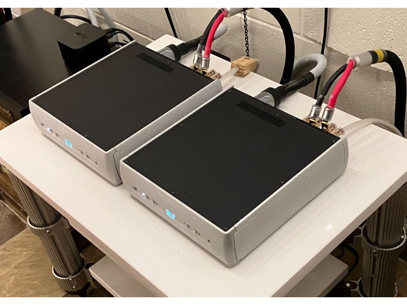 Audio Alchemy DPA-1M Monoblock DPA1 For Sale | Audiogon