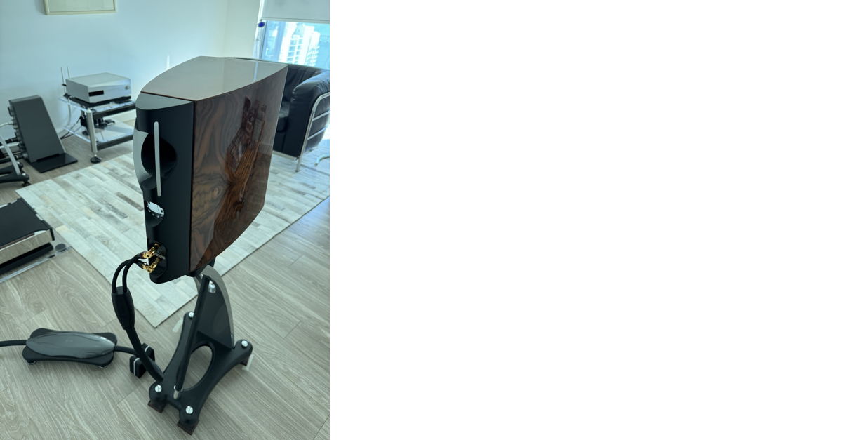 Raidho D1.1 Walnut burl w/ Stands For Sale | Audiogon