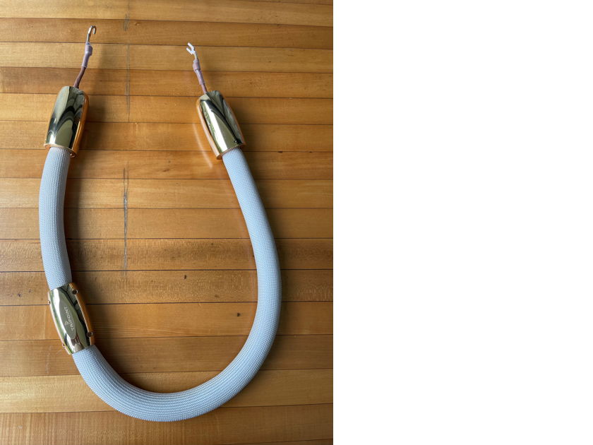 Tripoint Audio Emperor MKii Master Referen... For Sale | Audiogon