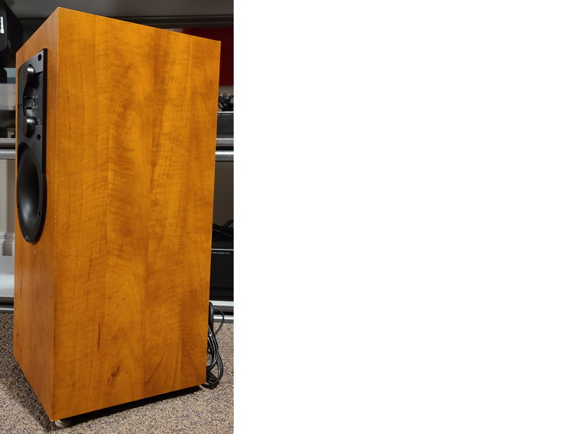 Athena Technologies P2 Subwoofer. #2 For Sale | Audiogon