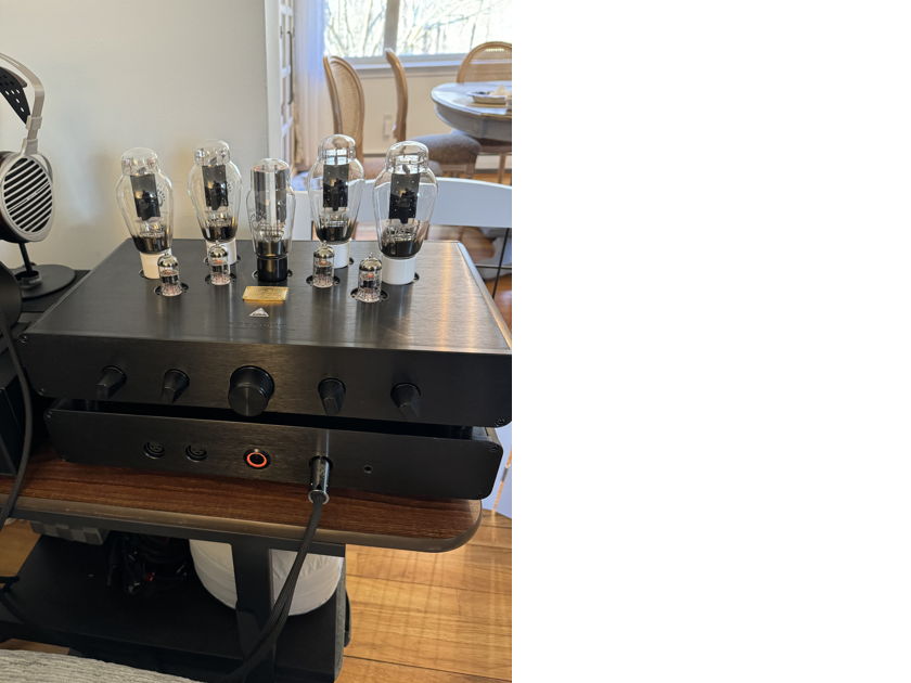 Woo Audio WA 33 Elite with JPS Wiring For Sale | Audiogon