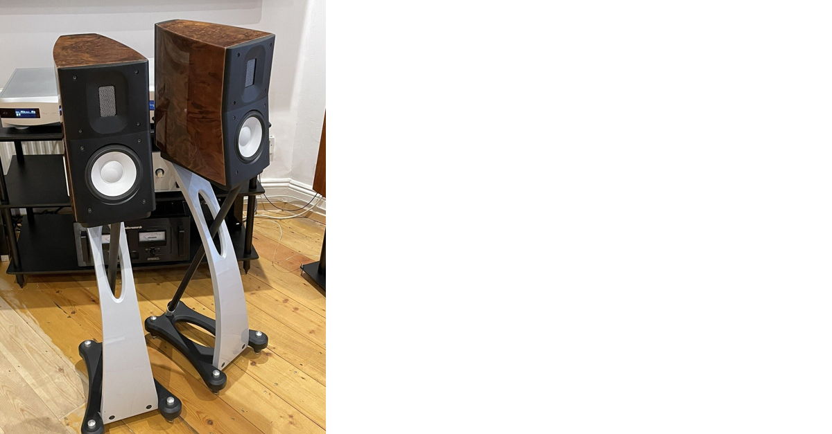 Raidho C1.1 Speakers For Sale | Audiogon