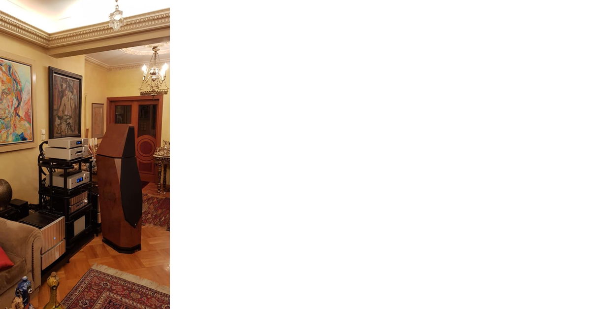 Jeff Rowland model 925 mono power amplifier For Sale | Audiogon