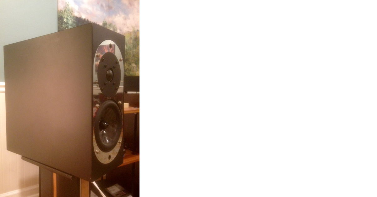 ASW Lautsprecher Genius 100 Powerful and g... For Sale | Audiogon