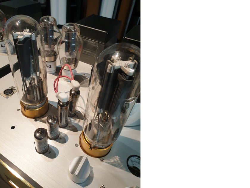 Lampizator Pair Pacific 211 TRUE BALANCED ... For Sale | Audiogon