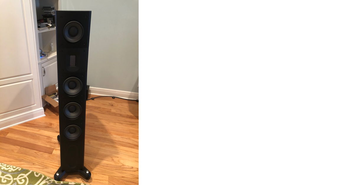 Raidho D3.1 For Sale | Audiogon