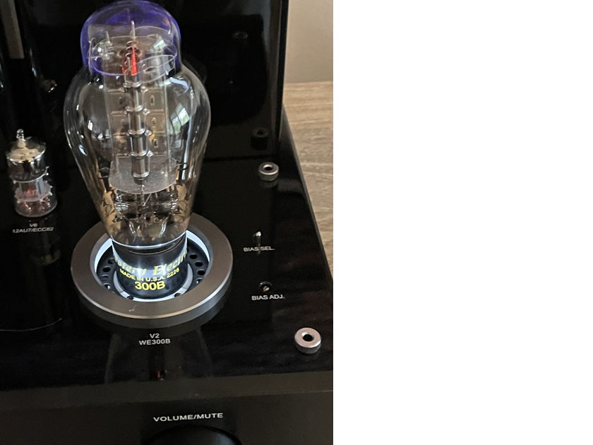 Triode Corporation Evolution 300b 30 Anniv... For Sale | Audiogon