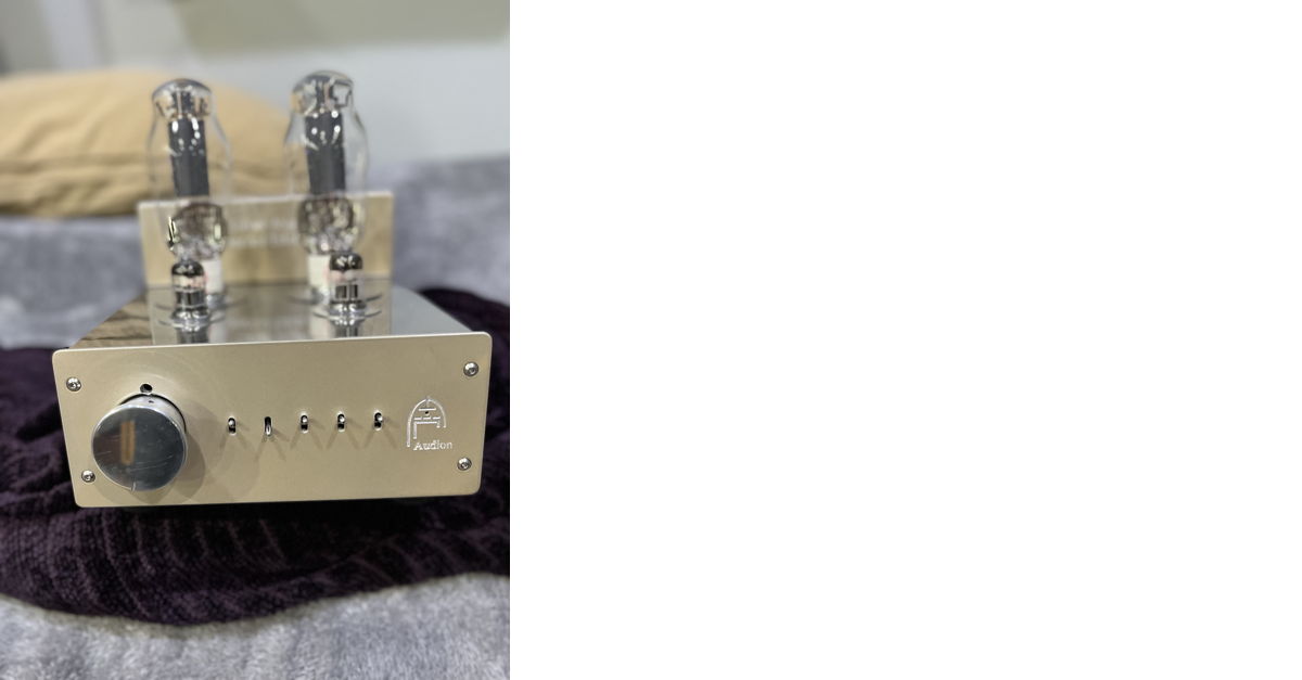 Audion Silver Night 300b Special Edition P... For Sale | Audiogon