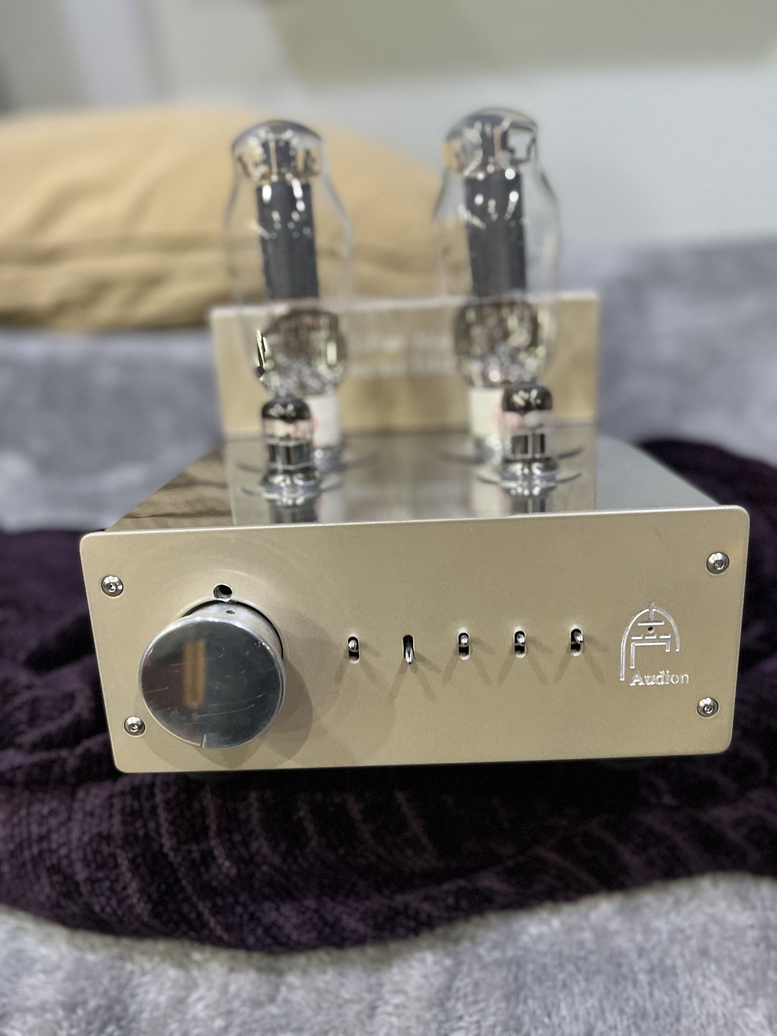 Audion Silver Night 300b Special Edition P... For Sale | Audiogon