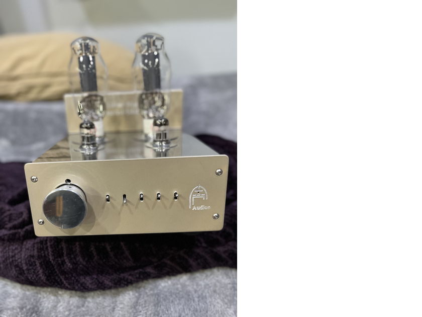 Audion Silver Night 300b Special Edition P... For Sale | Audiogon