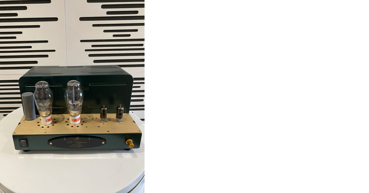SHINDO LABS D'YQUEM MONO AMPLIFIERS For Sale | Audiogon