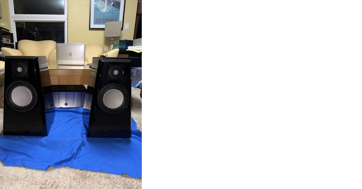 Talon Hawk Monitors Upgraded in 2021 to Ta... For Sale | Audiogon