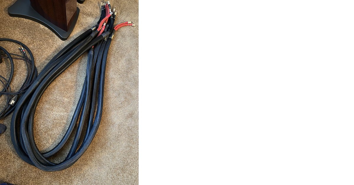 Elrod Power Systems Statement Gold Bi-Wire... For Sale | Audiogon